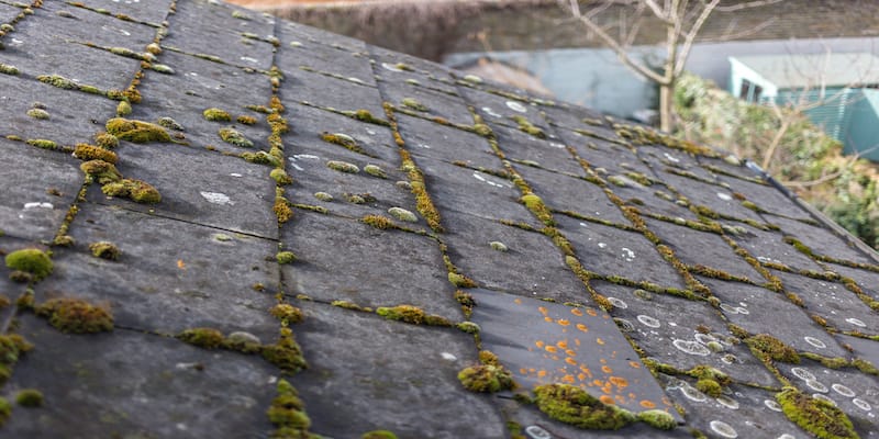 What is Soft Washing Your Home and What to Expect from the Process?